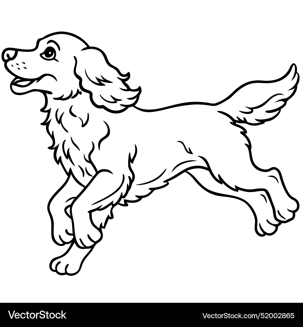 Cocker spaniel dog jumps icon Royalty Free Vector Image