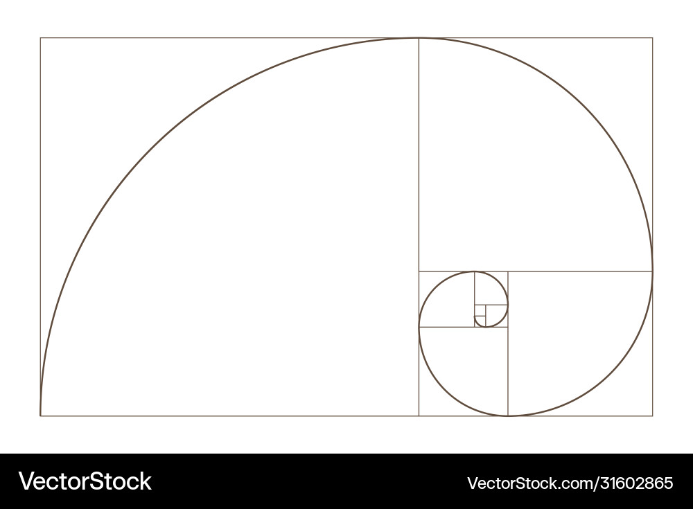 Golden ratio spiral mathematical formula to guide Vector Image