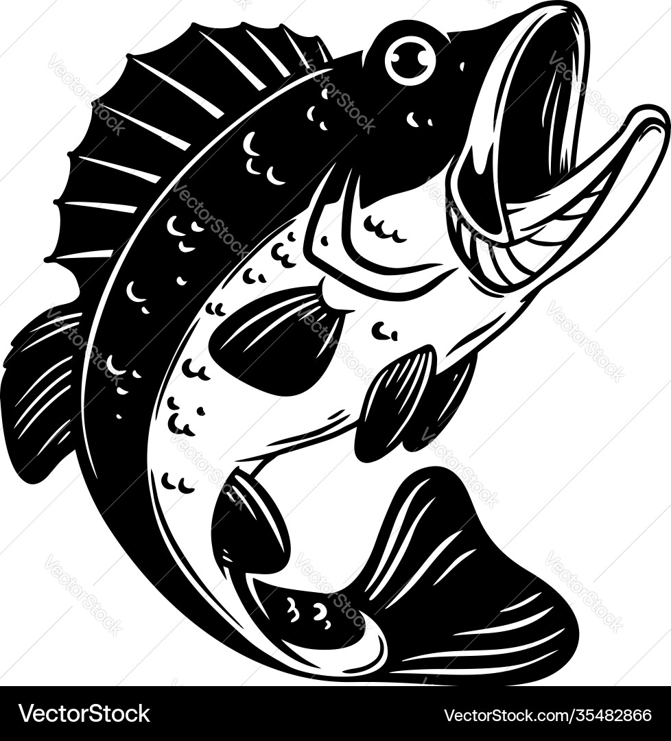 Bass fish big perch fishing design element Vector Image
