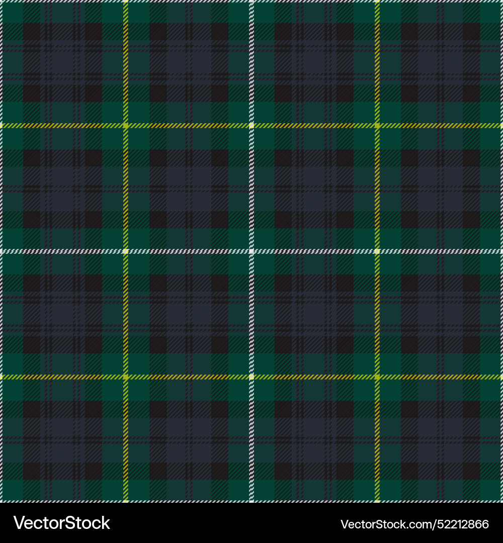Campbell of argyll modern tartan plaid pattern Vector Image