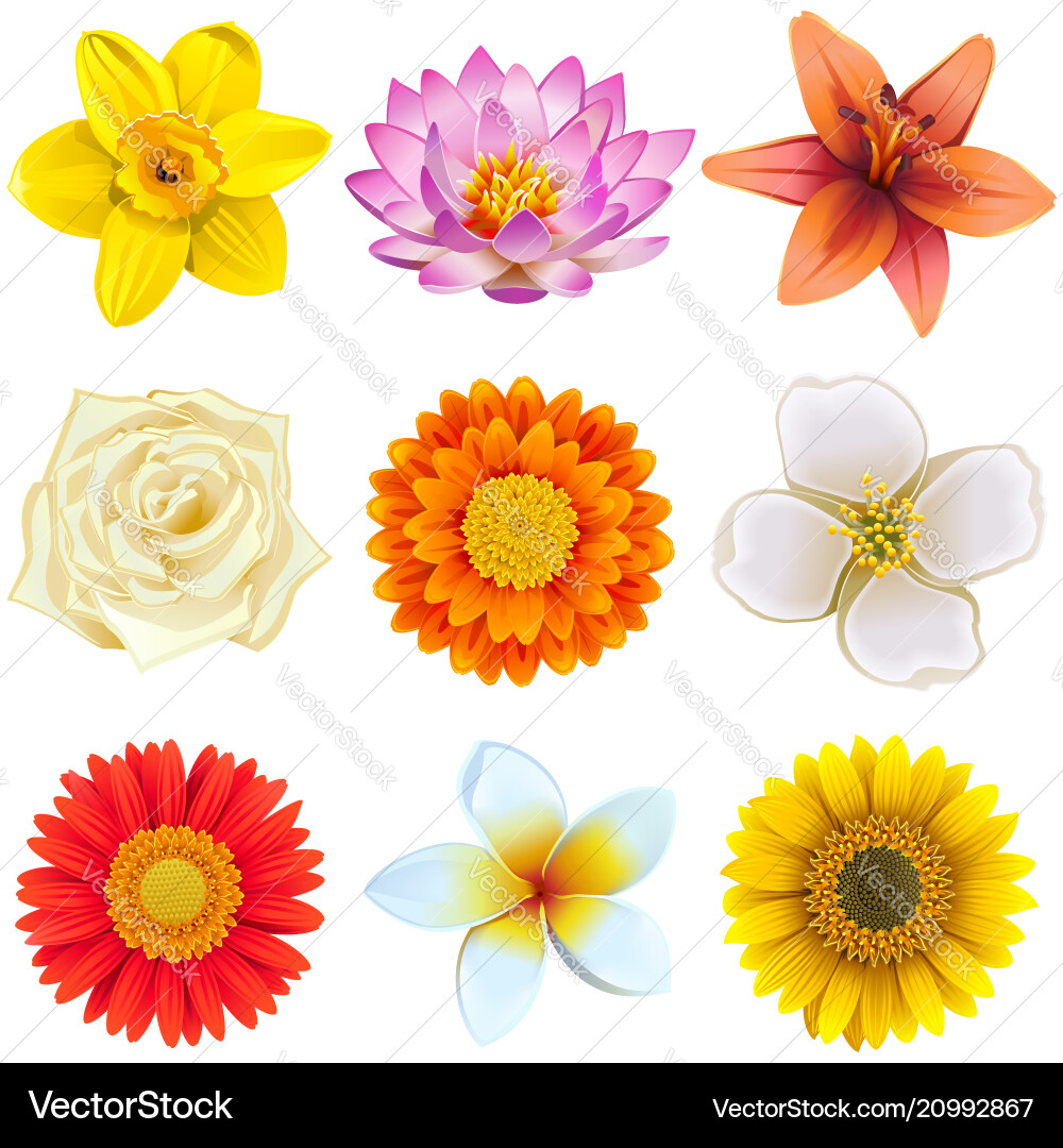 Flower icons set 2 Royalty Free Vector Image - VectorStock