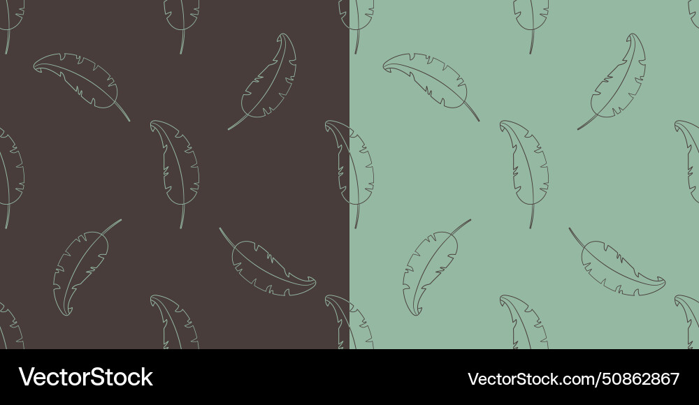 Outline pattern of banana palm leaf or feather Vector Image