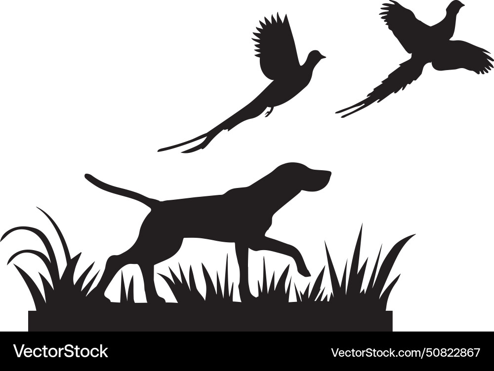 Pheasant hunting Royalty Free Vector Image - VectorStock