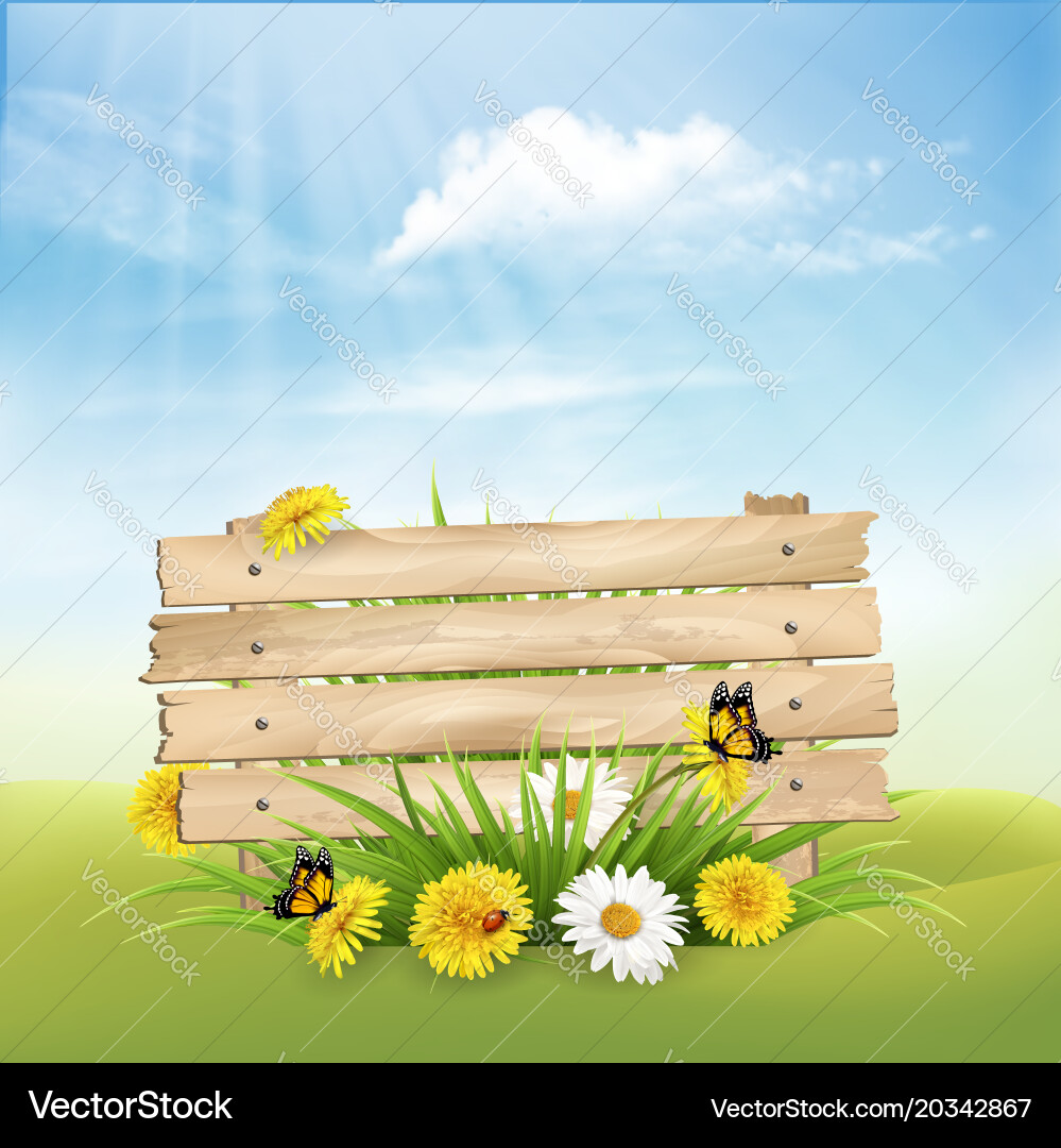 Spring nature background with grass and flowers Vector Image