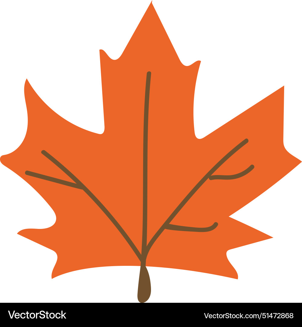 Autumn orange leaf Royalty Free Vector Image - VectorStock