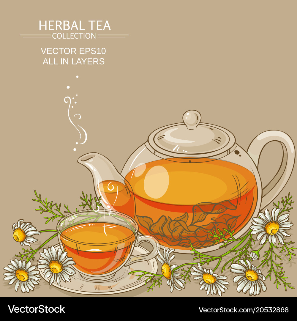 Chamomile tea Royalty Free Vector Image - VectorStock