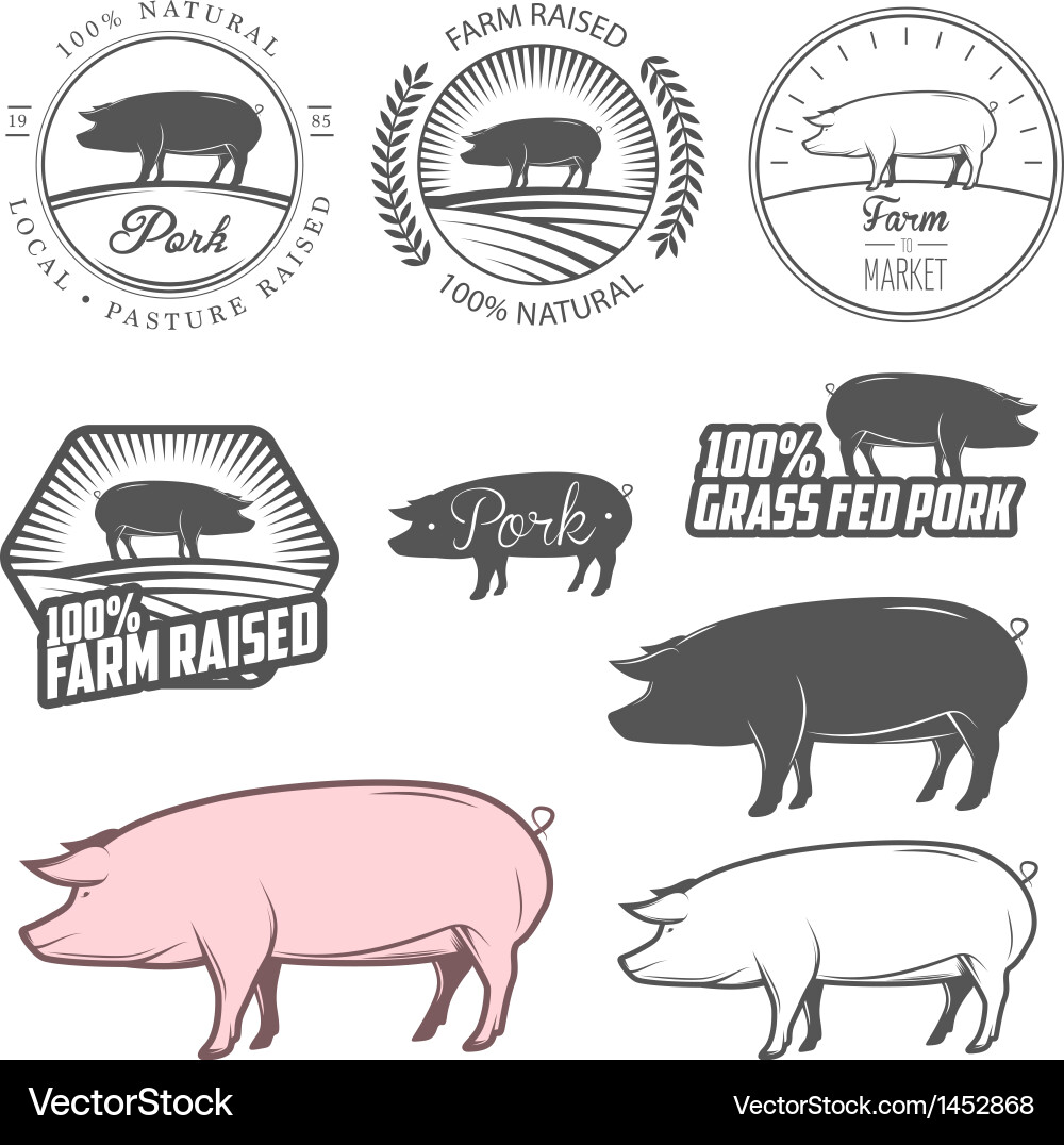 Set of pork labels badges and design elements Vector Image