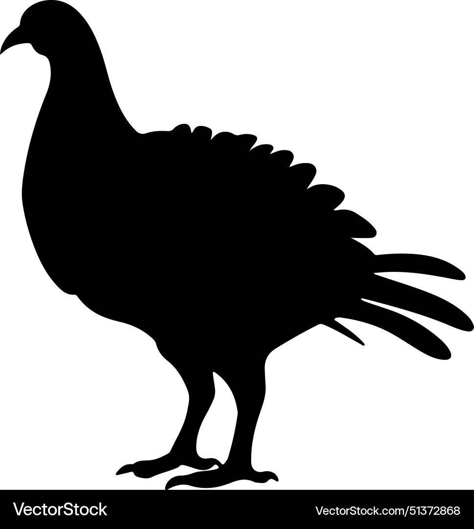 Turkey silhouette white background Royalty Free Vector Image