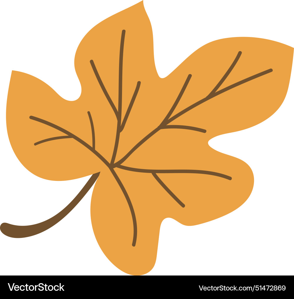 Autumn orange leaf Royalty Free Vector Image - VectorStock