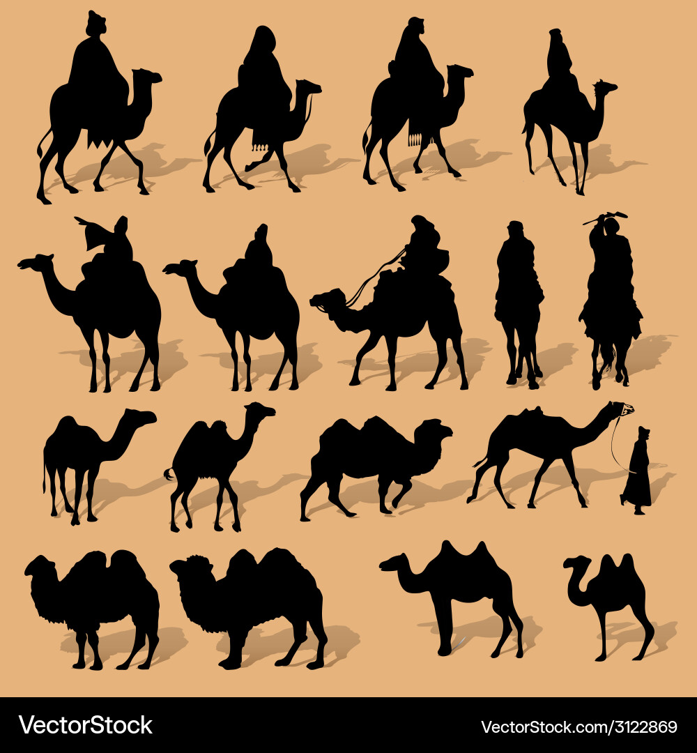Camel Silhouette Lizenzfreies Vektorbild - VectorStock