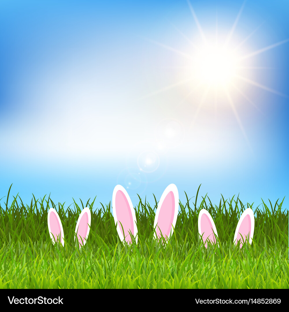 Easter Bunny Hidden in Grass Royalty Free Vector Image