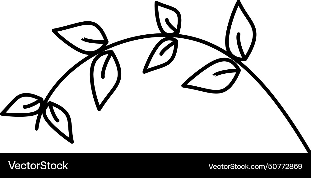 Floral decoration icon design template isolated Vector Image