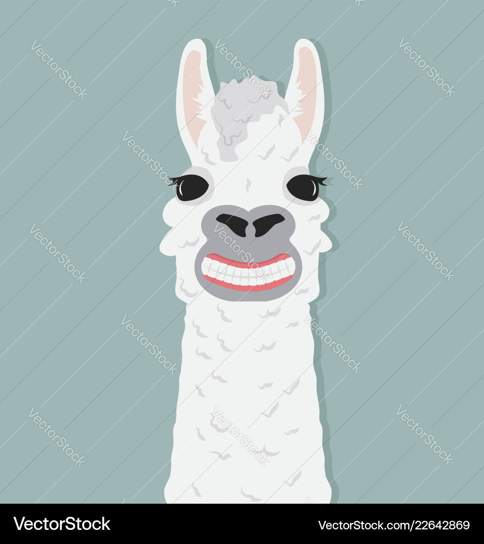 Happy alpaca smile Royalty Free Vector Image - VectorStock