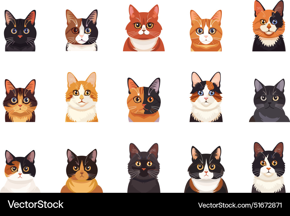 Adorable cat breeds portrait set front view head Vector Image