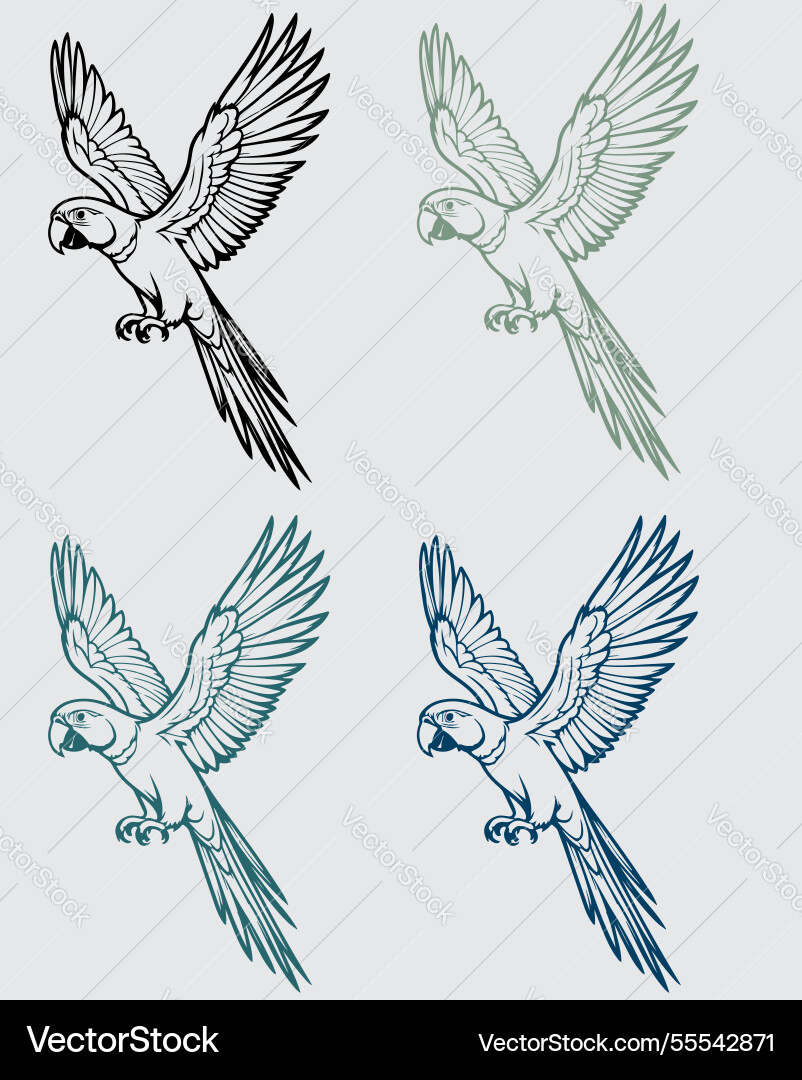 Flying parrot set Royalty Free Vector Image - VectorStock