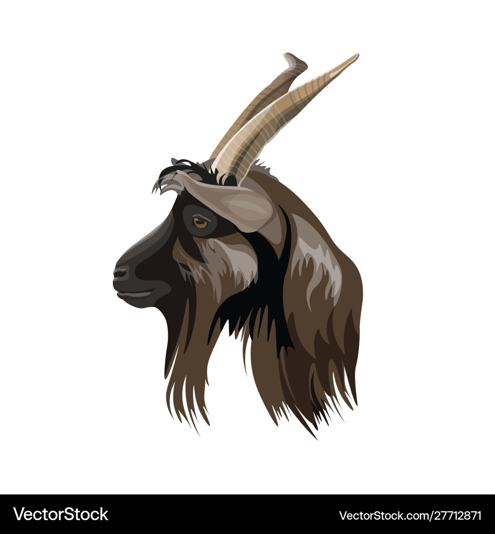 Portrait goat head in profile Royalty Free Vector Image