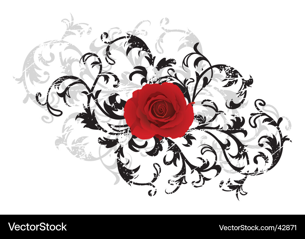 Red rose Royalty Free Vector Image - VectorStock
