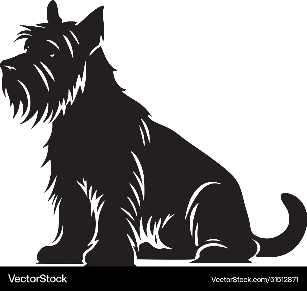 Scottish terrier - minimalist and simple Vector Image