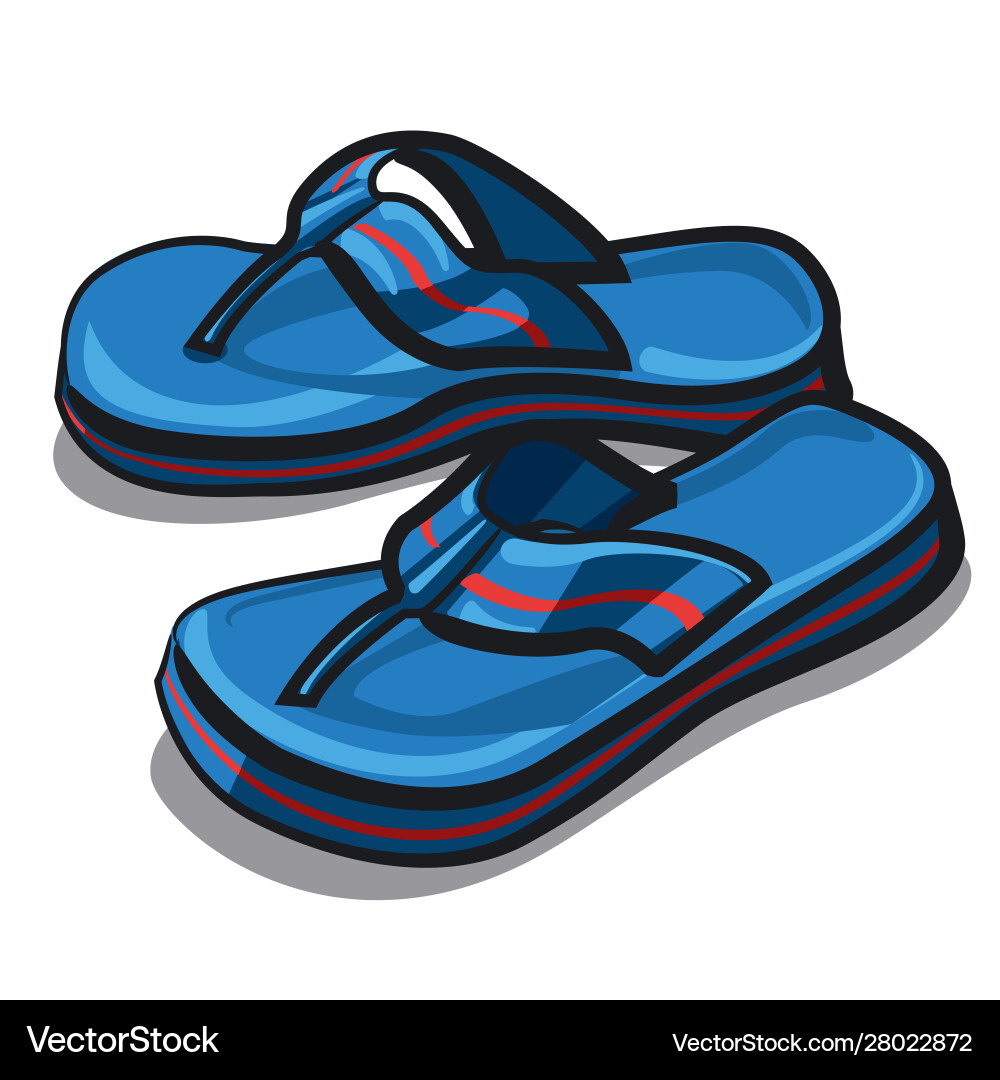 Beach blue slippers Royalty Free Vector Image - VectorStock