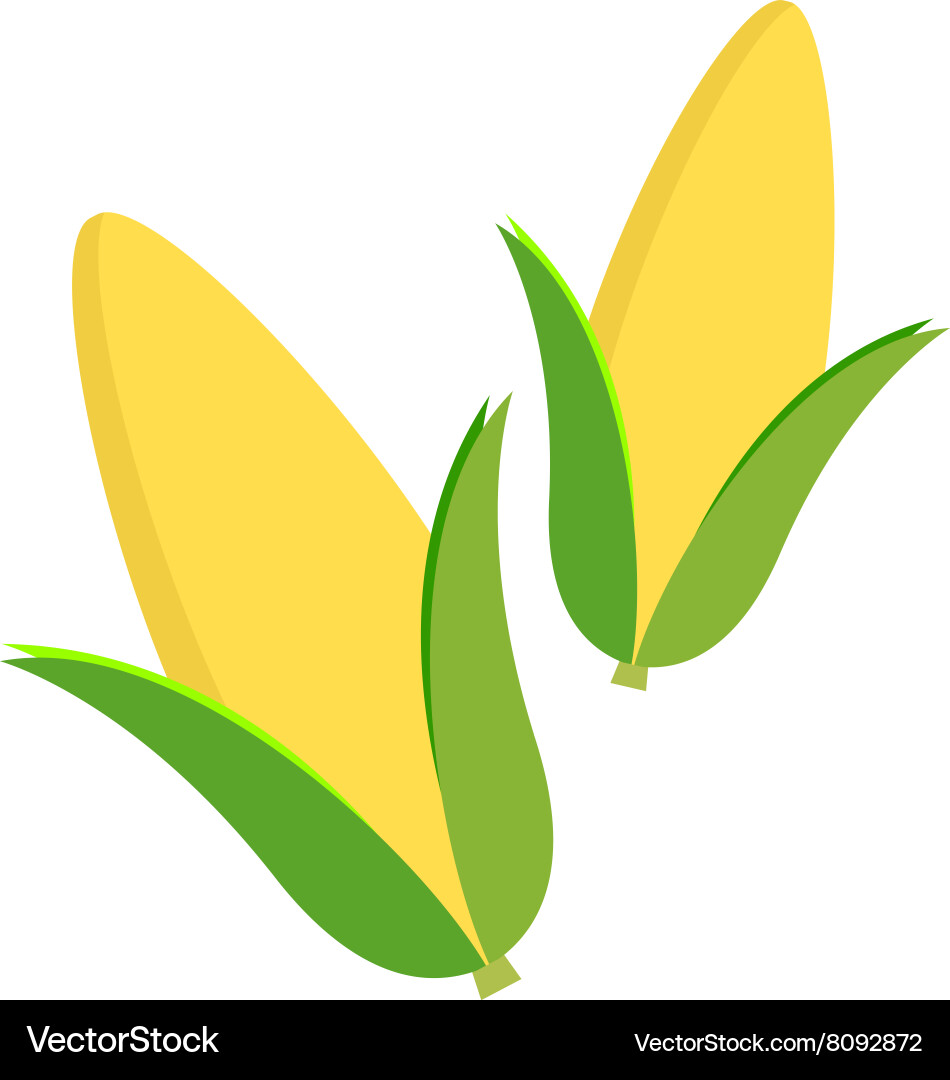 Corn Royalty Free Vector Image - VectorStock