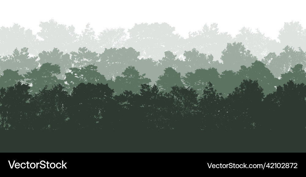 Deciduous forest background nature beautiful Vector Image