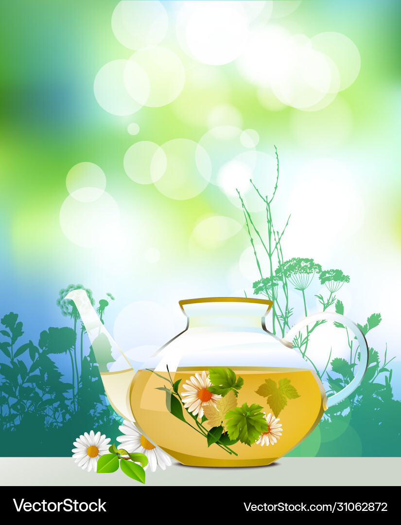 Herbal tea Royalty Free Vector Image - VectorStock