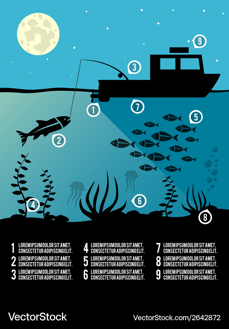 Infographic fishing poster Royalty Free Vector Image