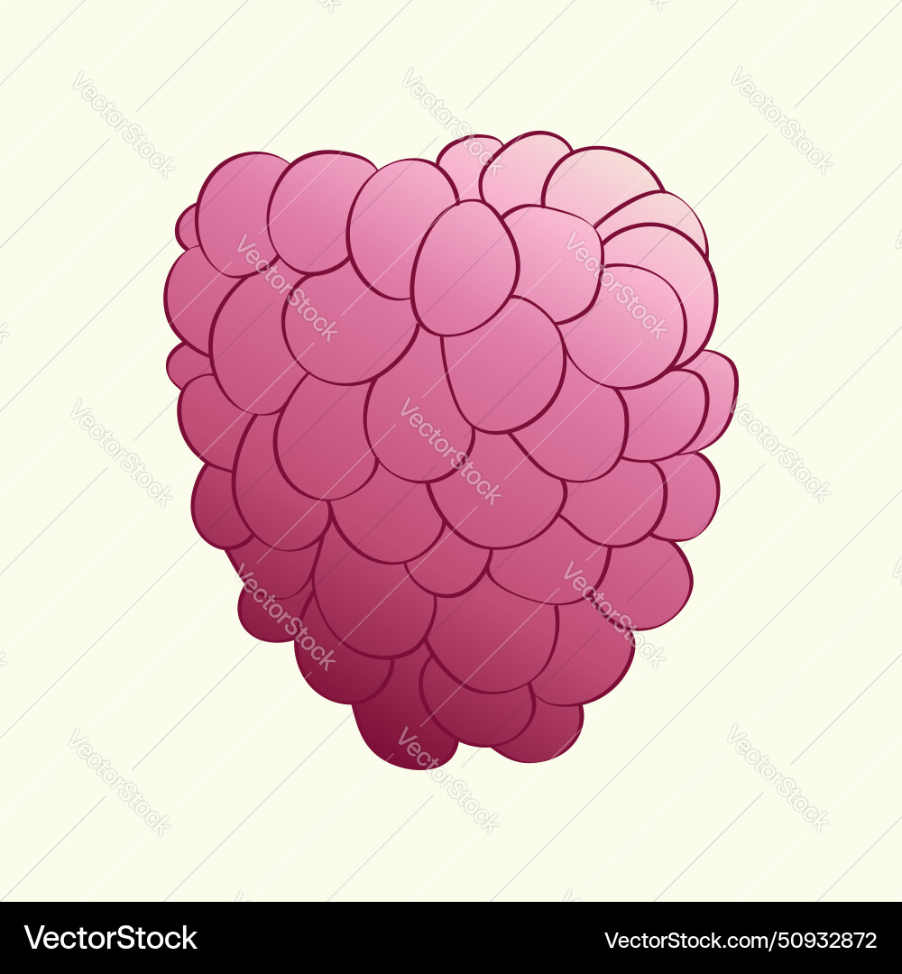 Pink raspberry on white background Royalty Free Vector Image