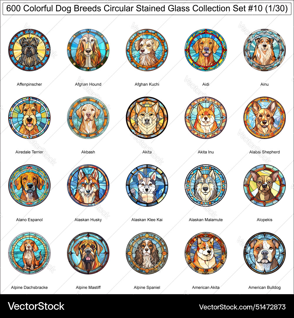 Colorful dog breeds circular stained glass dogs Vector Image