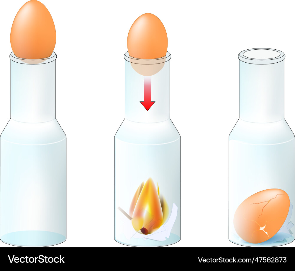 Egg in Bottle Experiment - Pressure Demonstration – Royalty-Free Vector ...