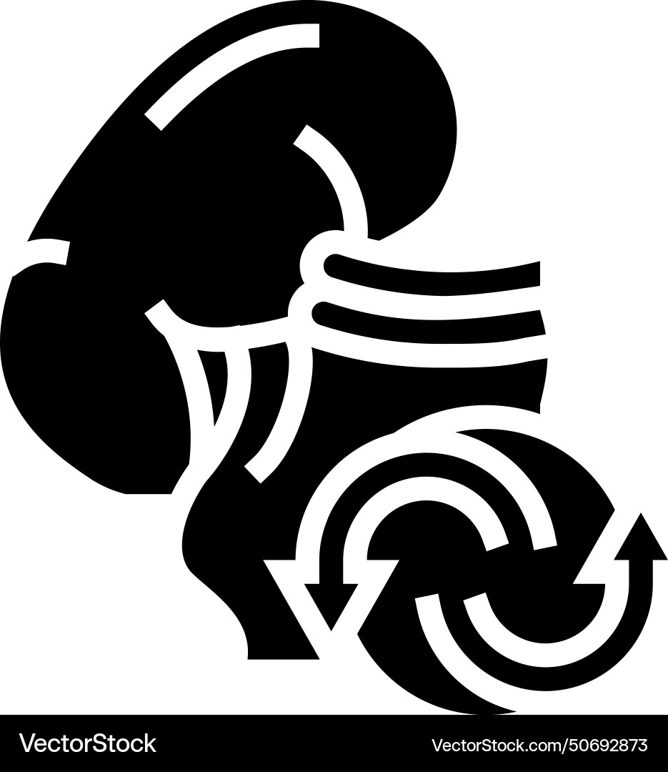 Kidney transplant surgery glyph icon Royalty Free Vector