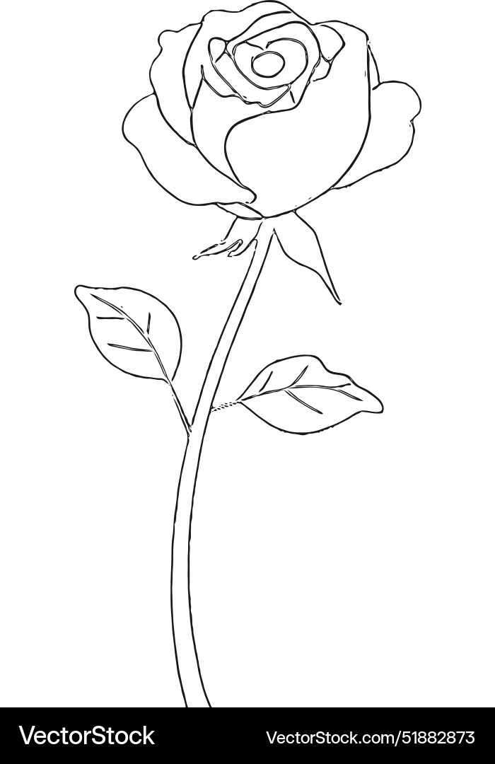 Line art of rose Royalty Free Vector Image - VectorStock