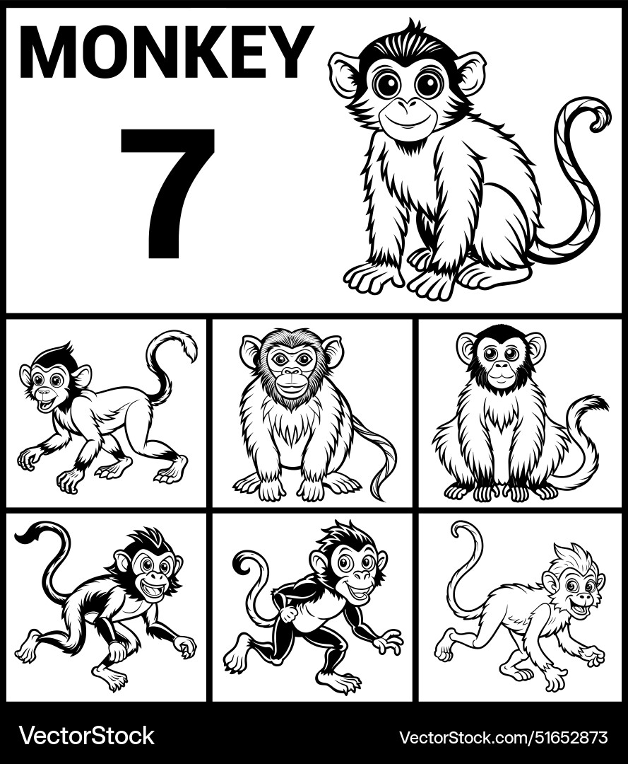 Monkey set detailed Royalty Free Vector Image - VectorStock