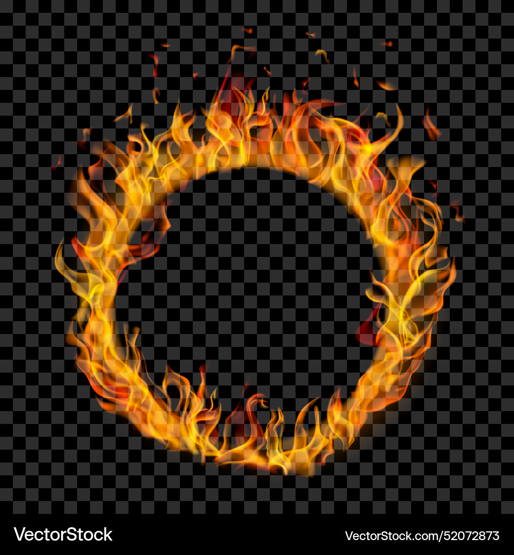 Ring made of fire Royalty Free Vector Image - VectorStock