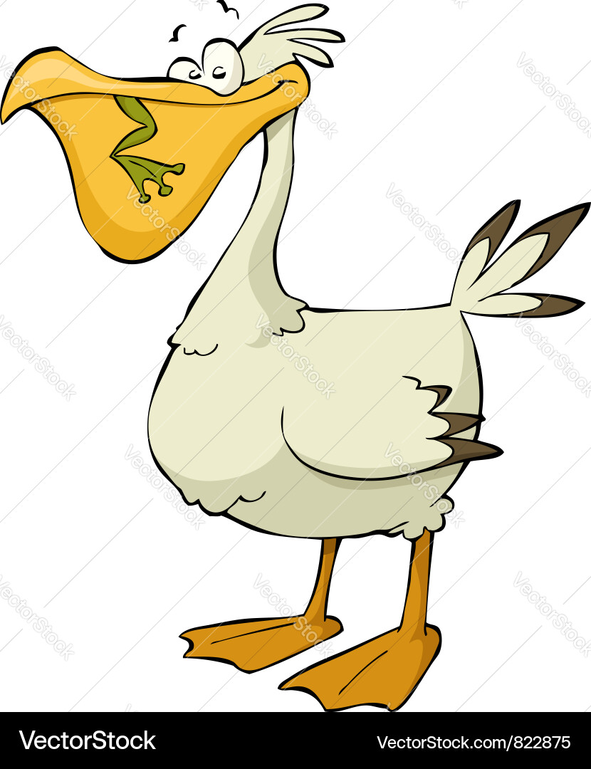 Pelican Royalty Free Vector Image - VectorStock