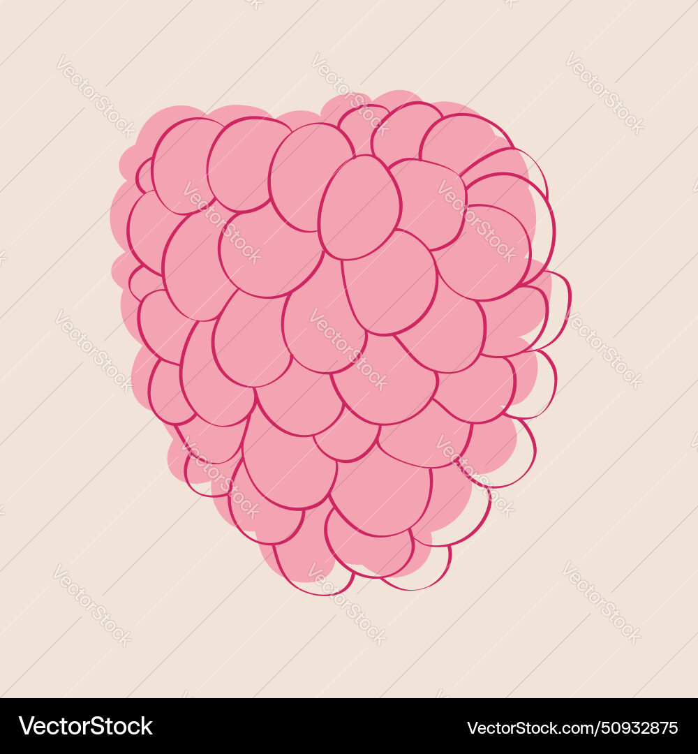 Pink raspberry on white background Royalty Free Vector Image