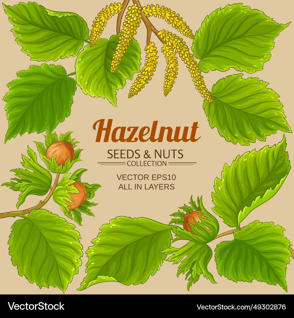 Hazelnut frame Royalty Free Vector Image - VectorStock