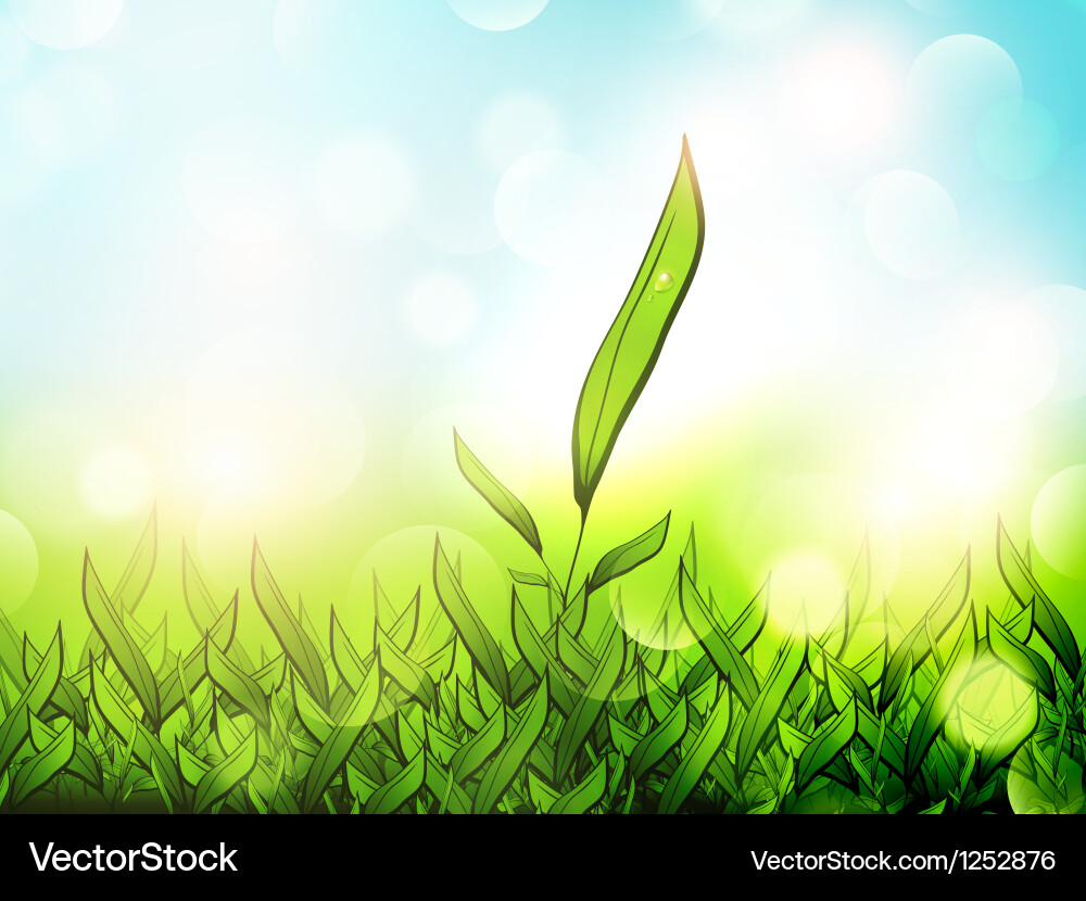 Tea plantation Royalty Free Vector Image - VectorStock