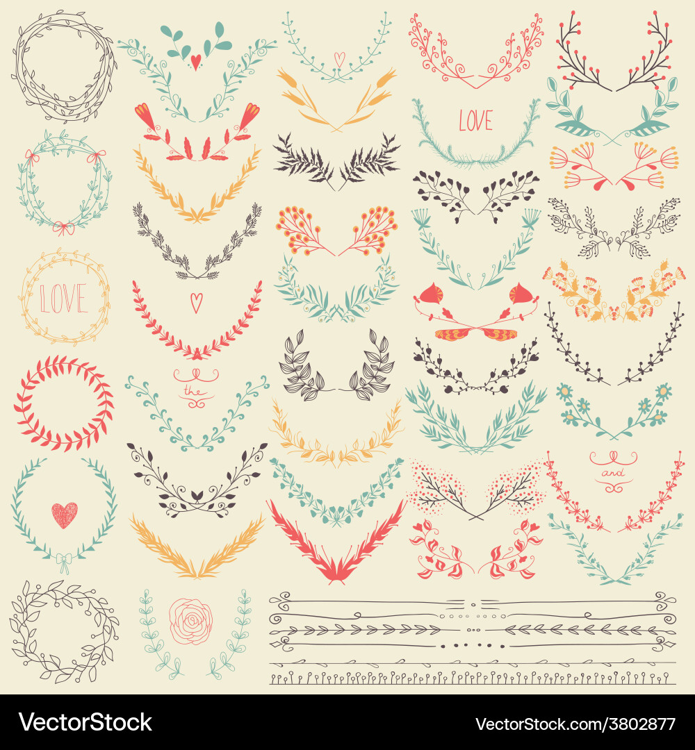 Floral Hand Drawn Elements Set Royalty Free Vector Image