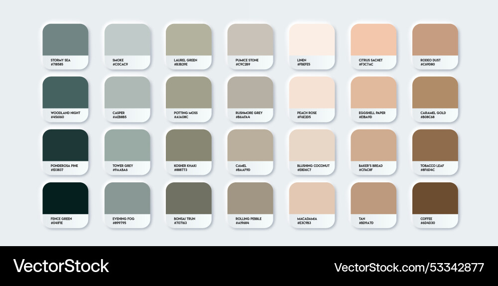 Neutral pastel color palette set in rgb hex soft Vector Image