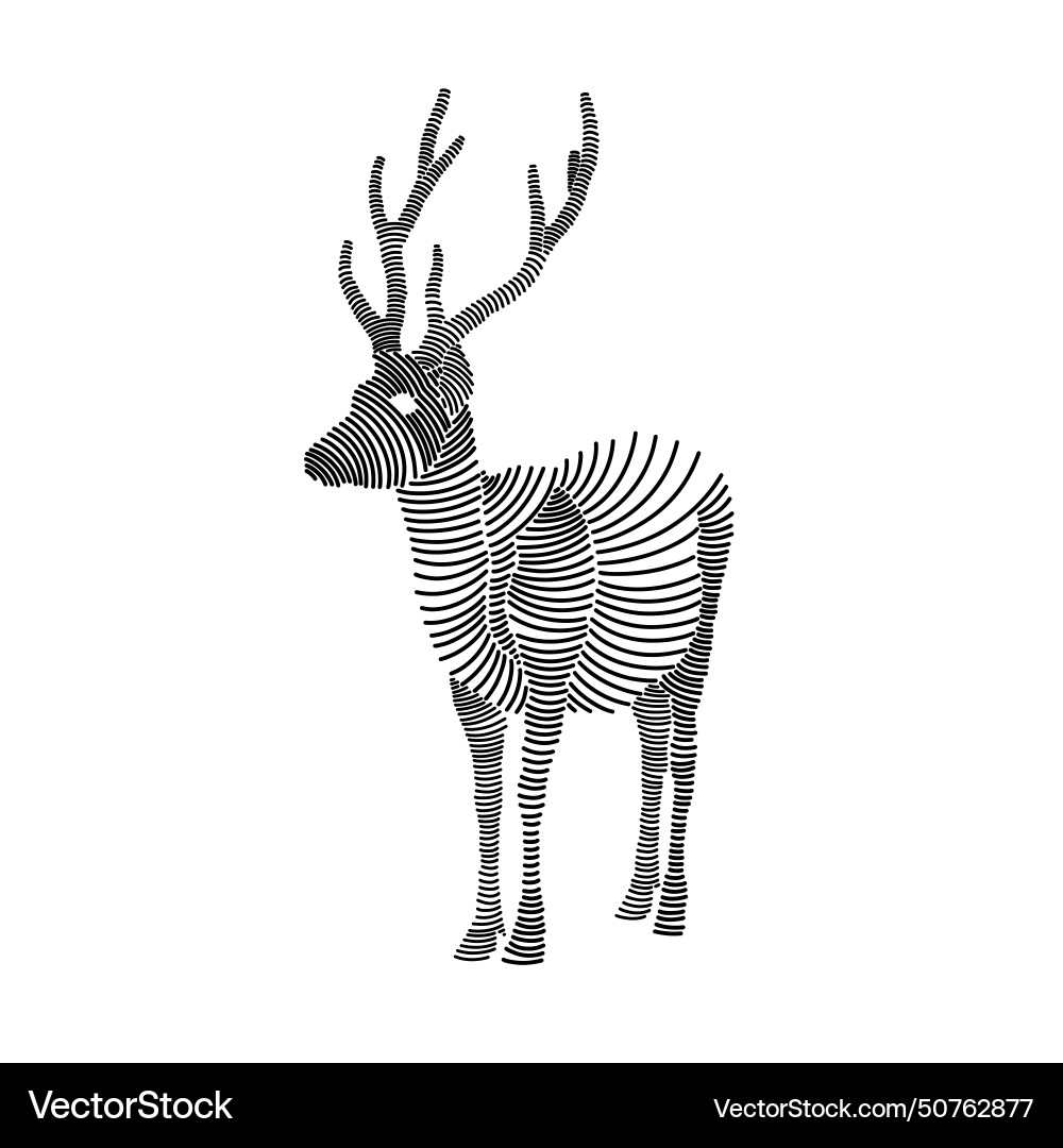 Simple line art of a deer 1 Royalty Free Vector Image