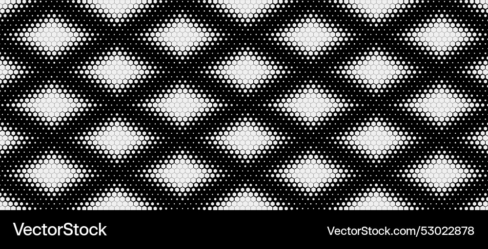 Abstract geometric black and white graphic design Vector Image