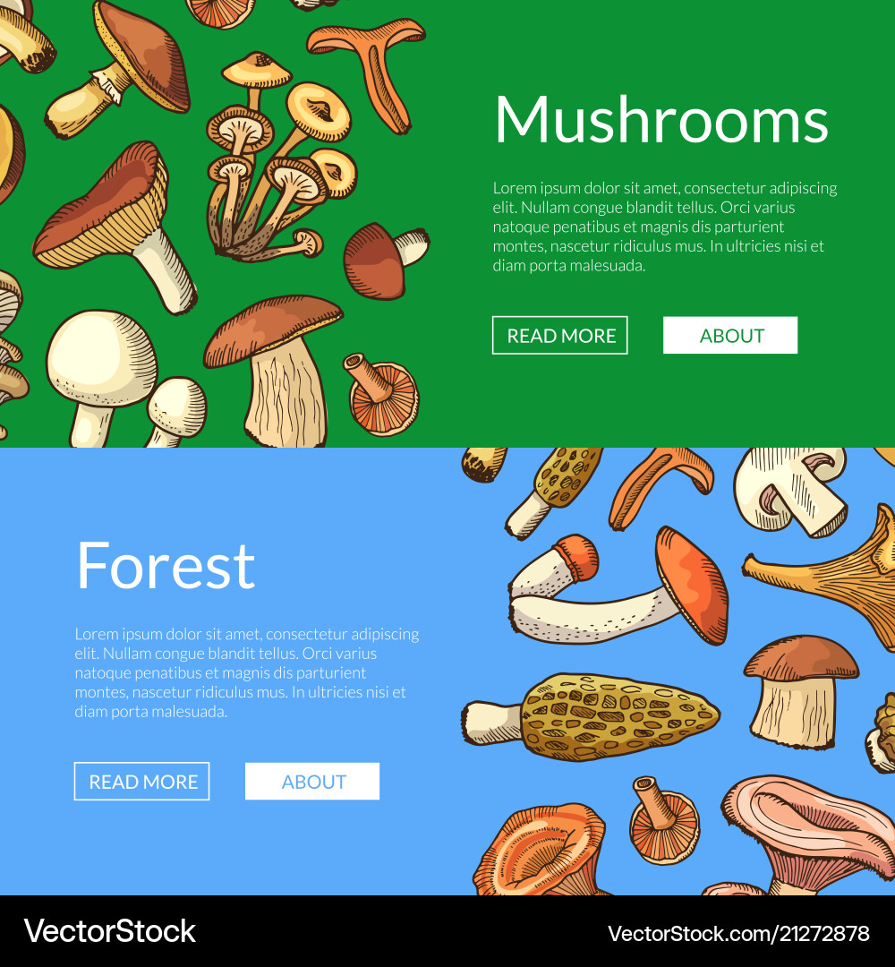 Hand drawn mushrooms horizontal banners Royalty Free Vector