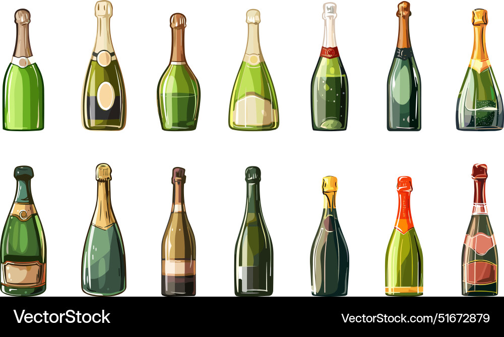 Champagne bottles set different shape and size Vector Image