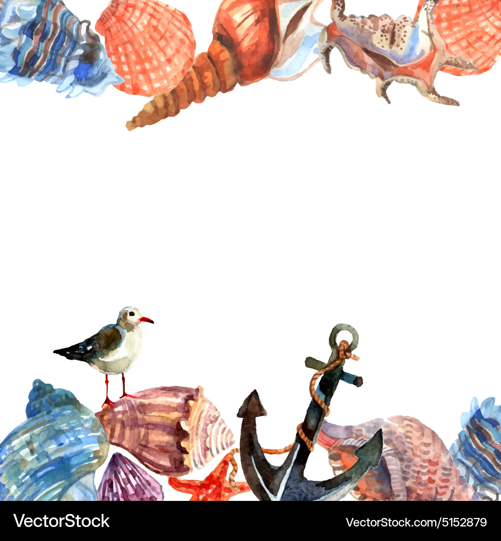 Marine Shell Border with Anchor & Seagull Vector Image