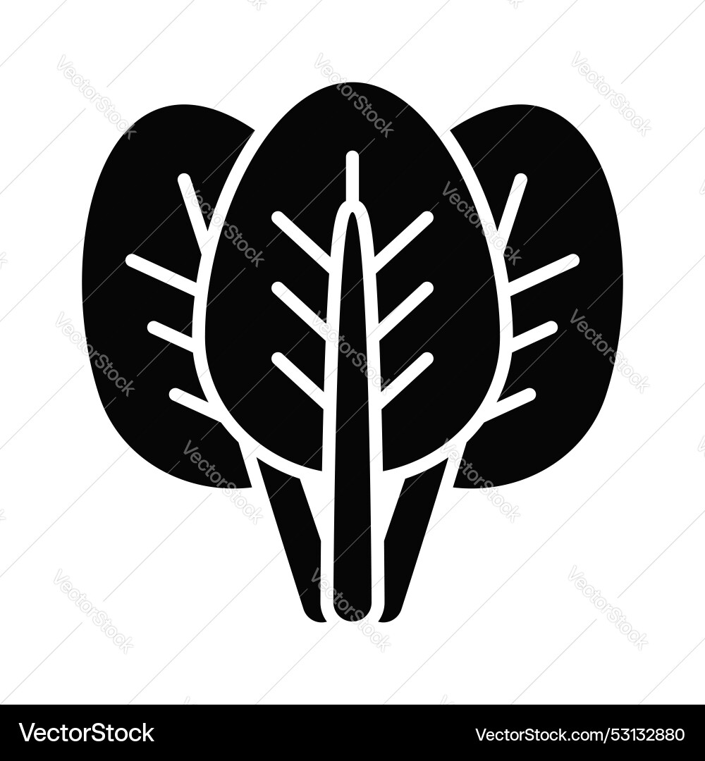 Spinach Royalty Free Vector Image - VectorStock