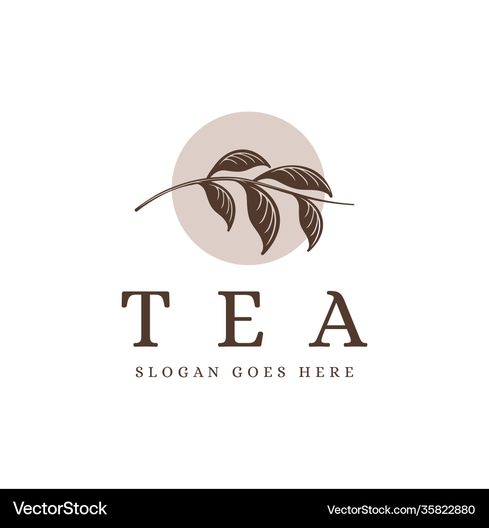 Vintage tea branch logo plant icon Royalty Free Vector Image