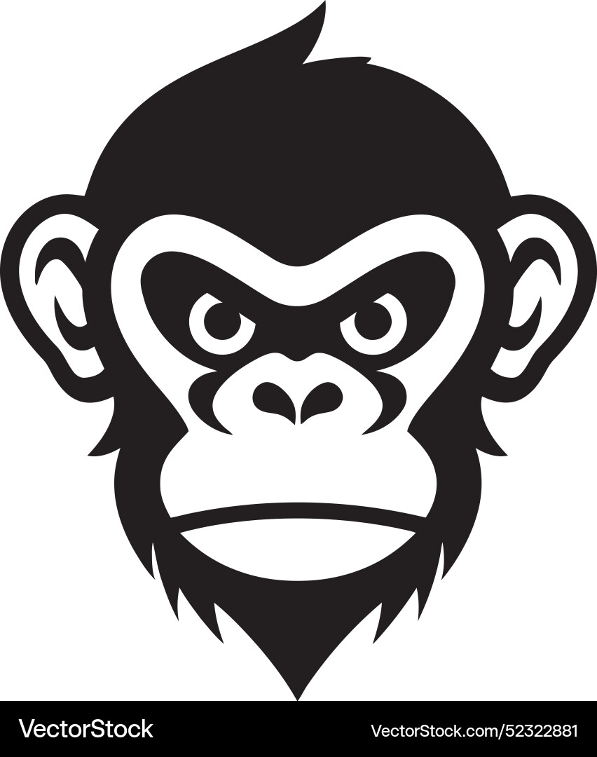 Shadowed splendor darkened primate gaze monochrome