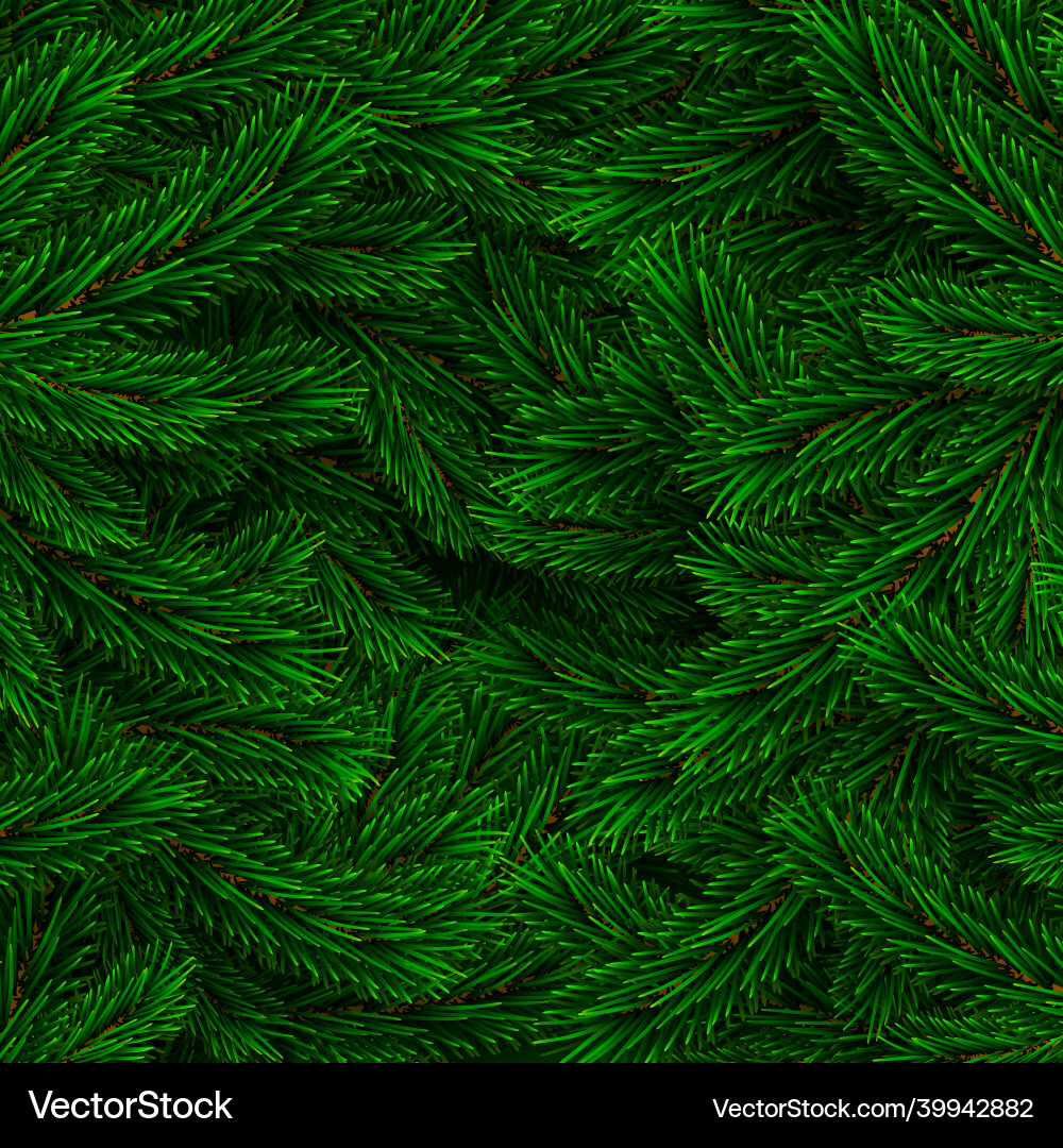 Fir branch backdrop design christmas decoration Vector Image