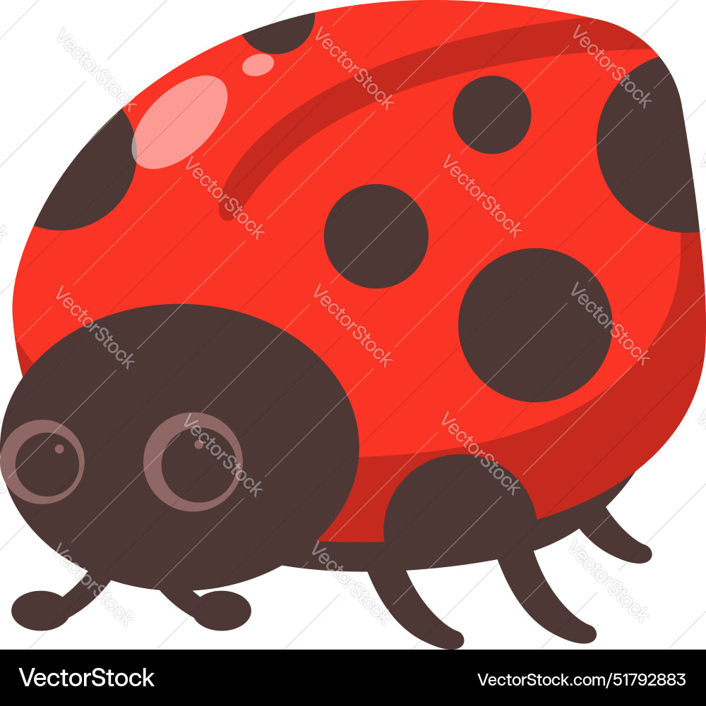 Cute ladybug crawling and showing its spots Vector Image